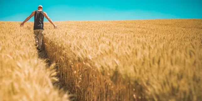 Why Hard Work Is Important To Achieve Success In Life | | Stunning ...